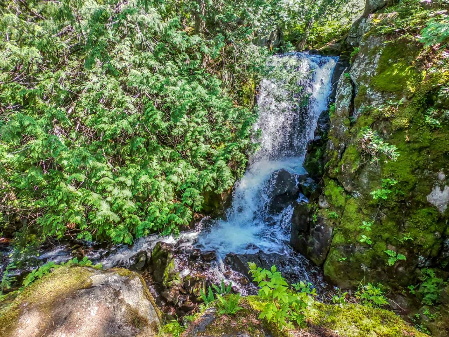 Rose Lake - A BWCA Day Trip - Exploring the North Shore Visitor's Guide